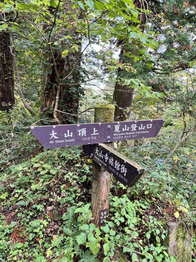 登山初心者が登る大山。必要な準備と心構え【10月の大山編】 | irokazari+